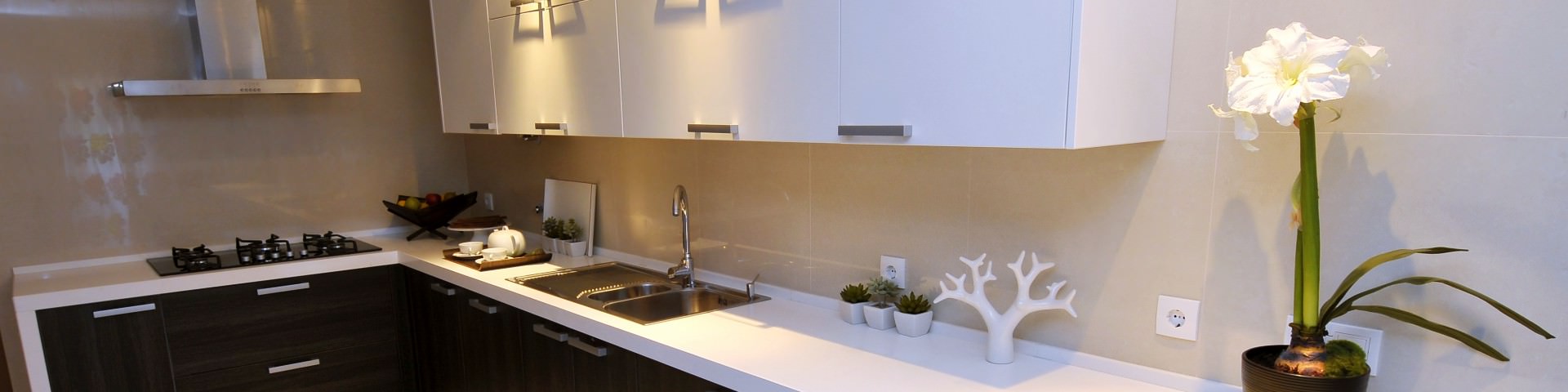 Modern Kitchen Cabinets | Contemporary Frameless RTA Designer Kitchen ...